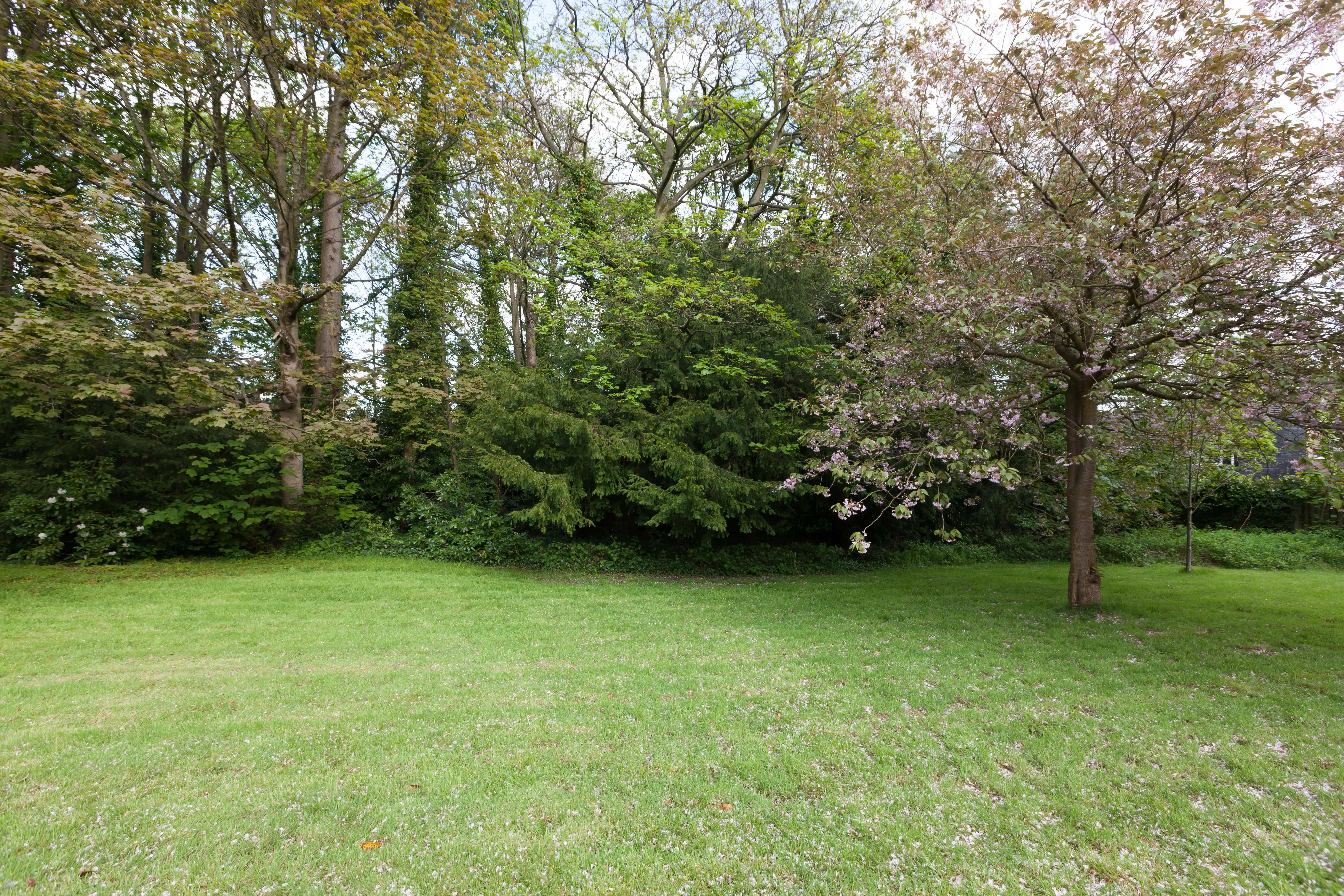 Blenheim Park Estates - Parkhead Hall Land - Whirlow S11
